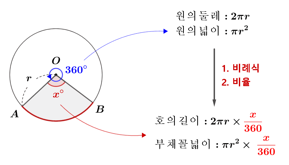 원과 부채꼴 호의 길이와 넓이 : 원주율 이용, 두 값 사이 관계 유도