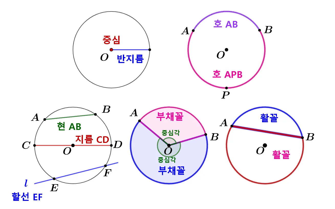 원과 부채꼴 호의 길이와 넓이 : 원주율 이용, 두 값 사이 관계 유도