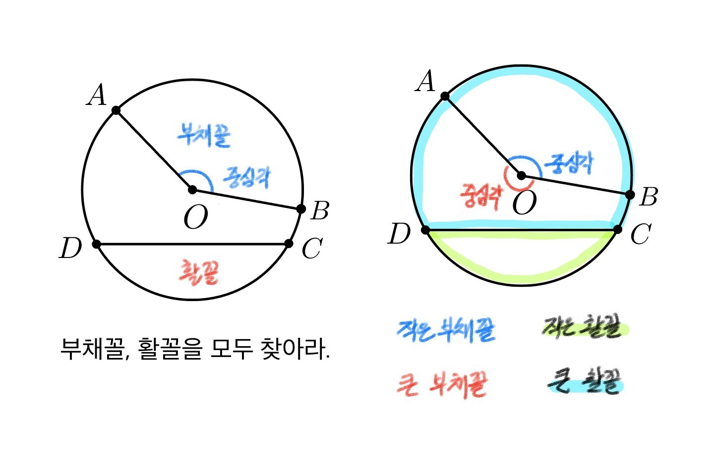 원과 부채꼴 호의 길이와 넓이 : 원주율 이용, 두 값 사이 관계 유도